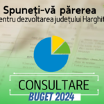 A fost lansat în consultare publică proiectul de buget pentru anul 2024 ...